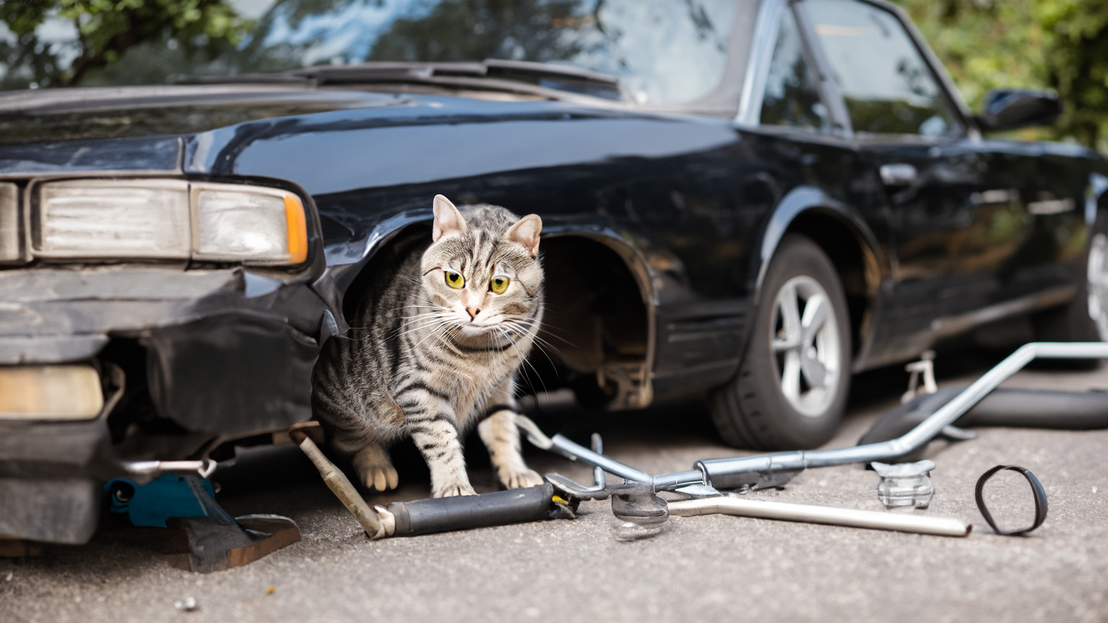 Poor Car Images Equal Lost Consumer Trust - 360Booth®